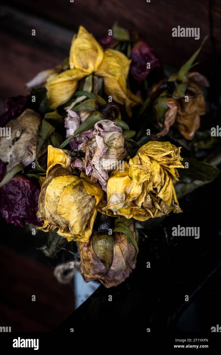 Dead flowers bunch hi-res stock photography and images - Alamy
