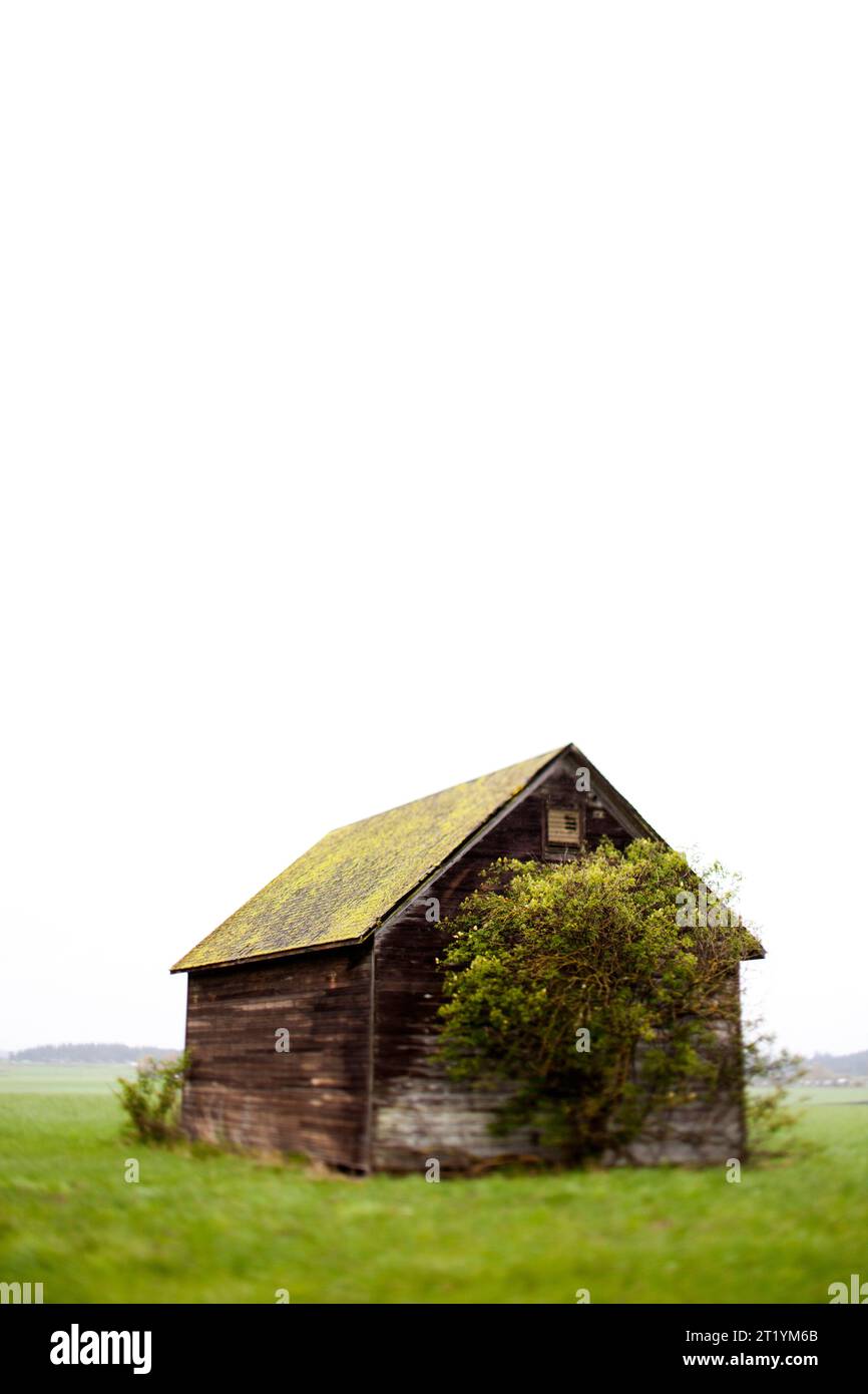 An old, rustic barn with moss on the roof Stock Photo - Alamy