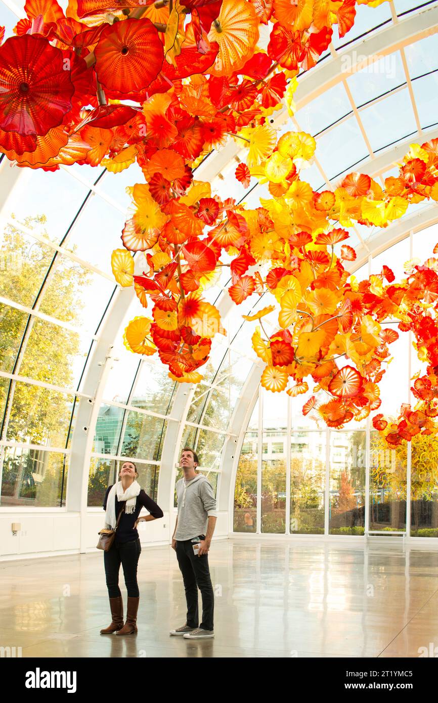A young couple enjoy the glass installation at the Chihuly's exhibit in ...