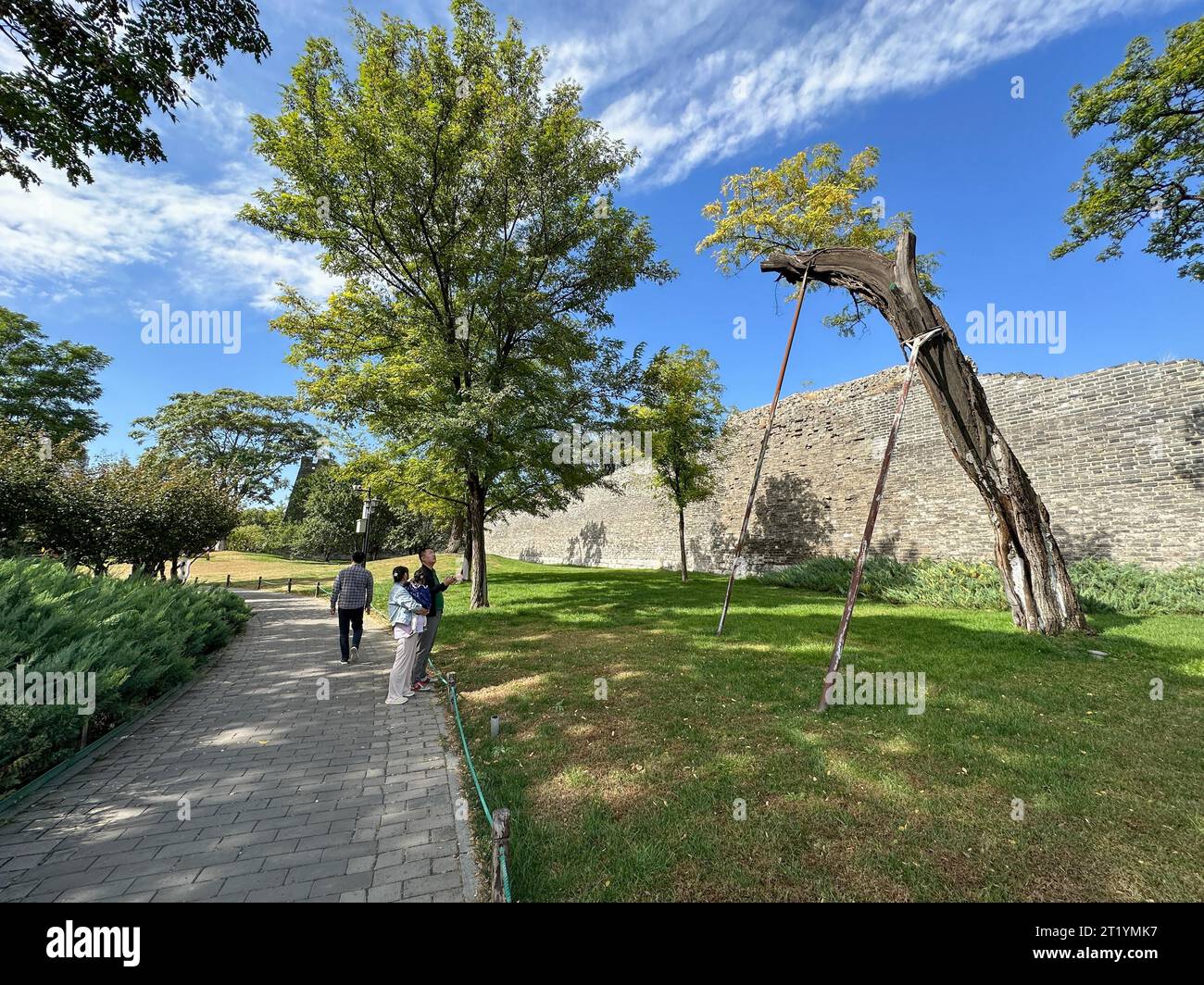 Autumn scenery of the Beijing Ming City Wall Ruins Park in Beijing ...