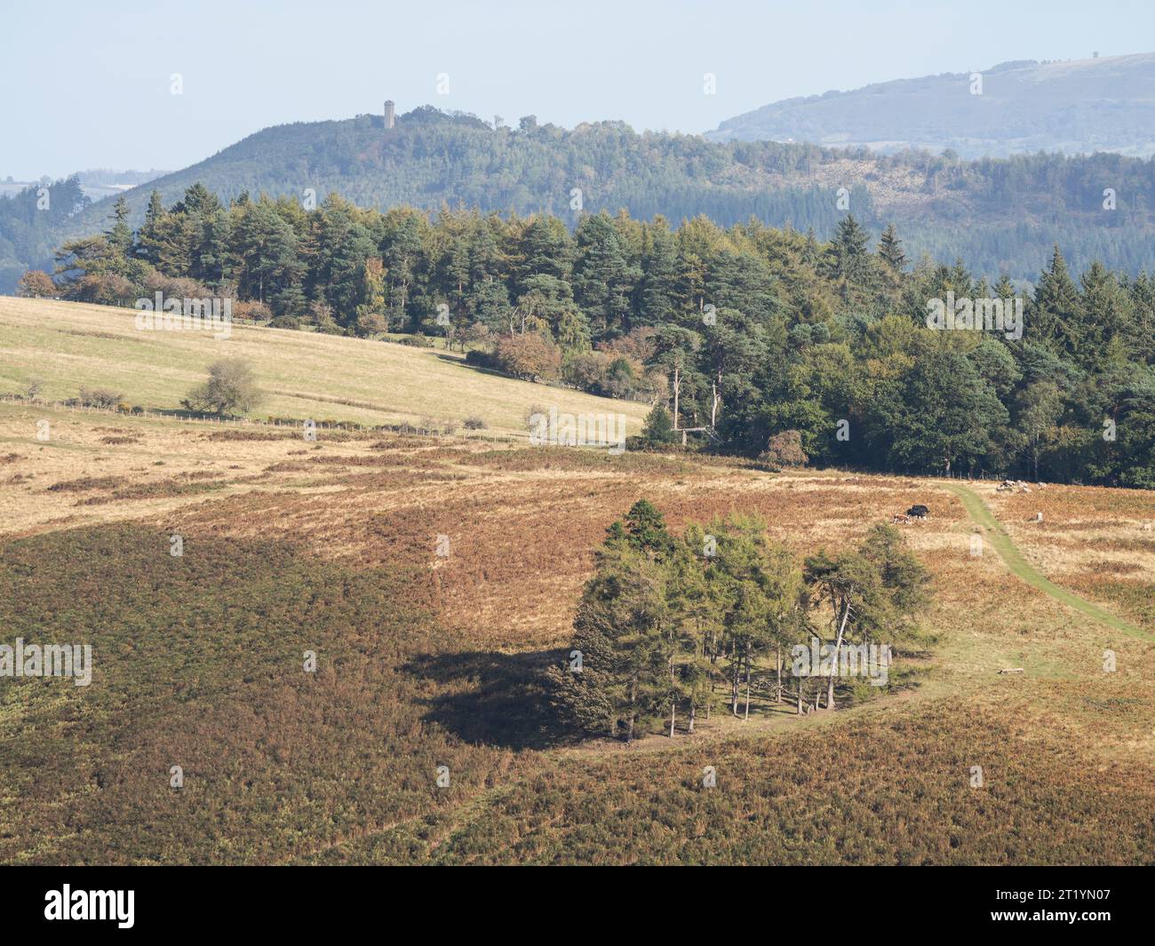 Brown clee hill iron age hi-res stock photography and images - Alamy