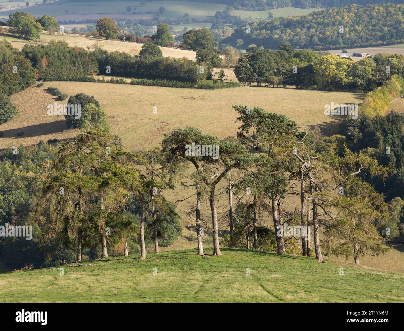 Brown clee hill iron age hi-res stock photography and images - Alamy