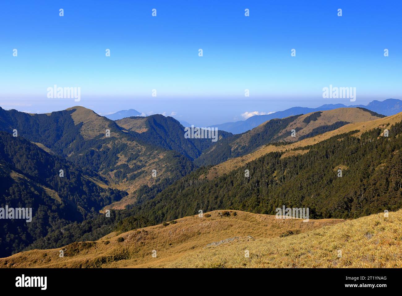 Beautiful landscape of Hehuanshan North Peak Trail at Hehuanshan ...