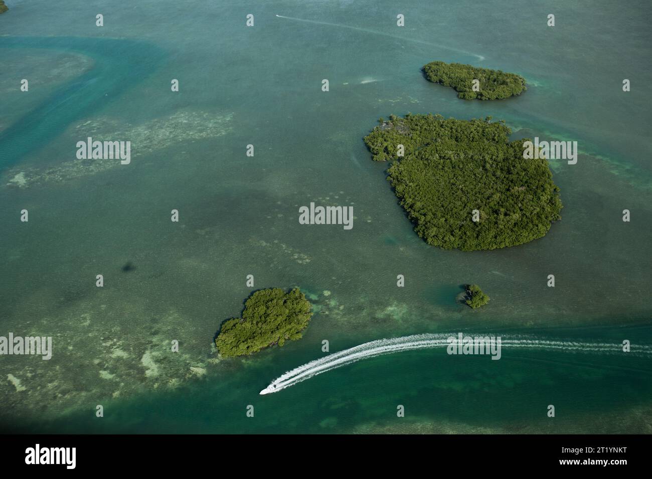 Aerial view of motorboat and islands in sea, Florida Keys, Florida, USA ...