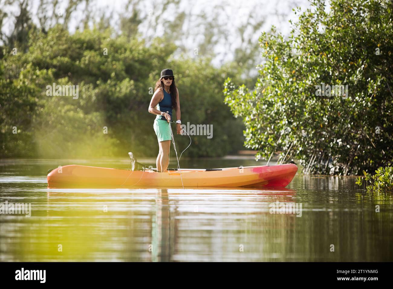 Fishing florida mangroves hi-res stock photography and images - Alamy
