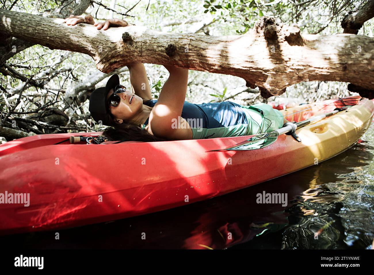 Woman kayaking under mangrove tree branch Stock Photo - Alamy