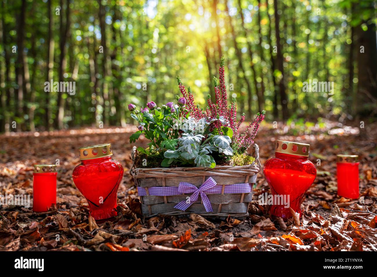 Augsburg, Bavaria, Germany. 13th Oct, 2023. Grave arrangement with ...