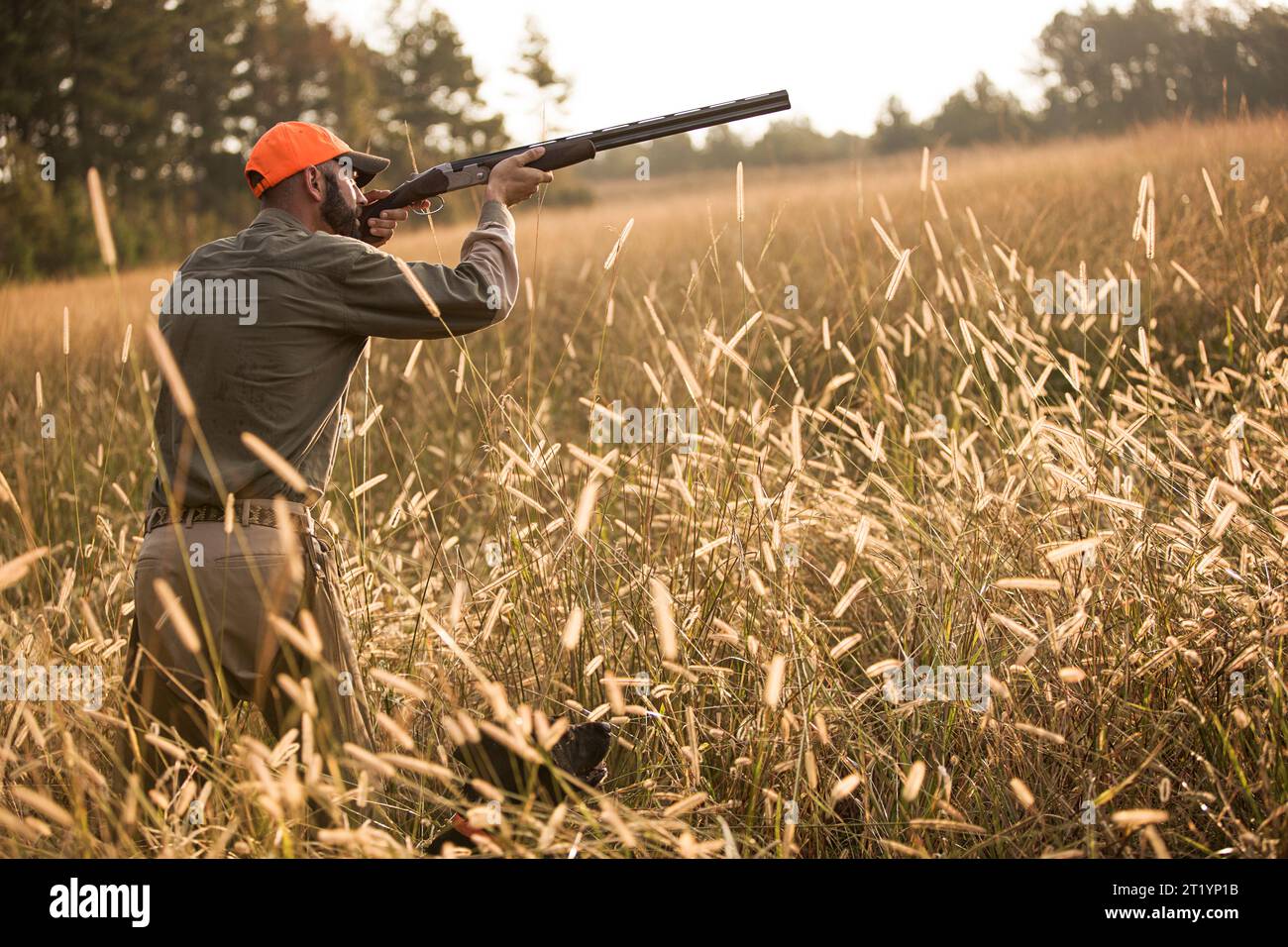 Bird hunter aiming with shotgun, Bear Creek Reserve, Georgia, USA Stock ...