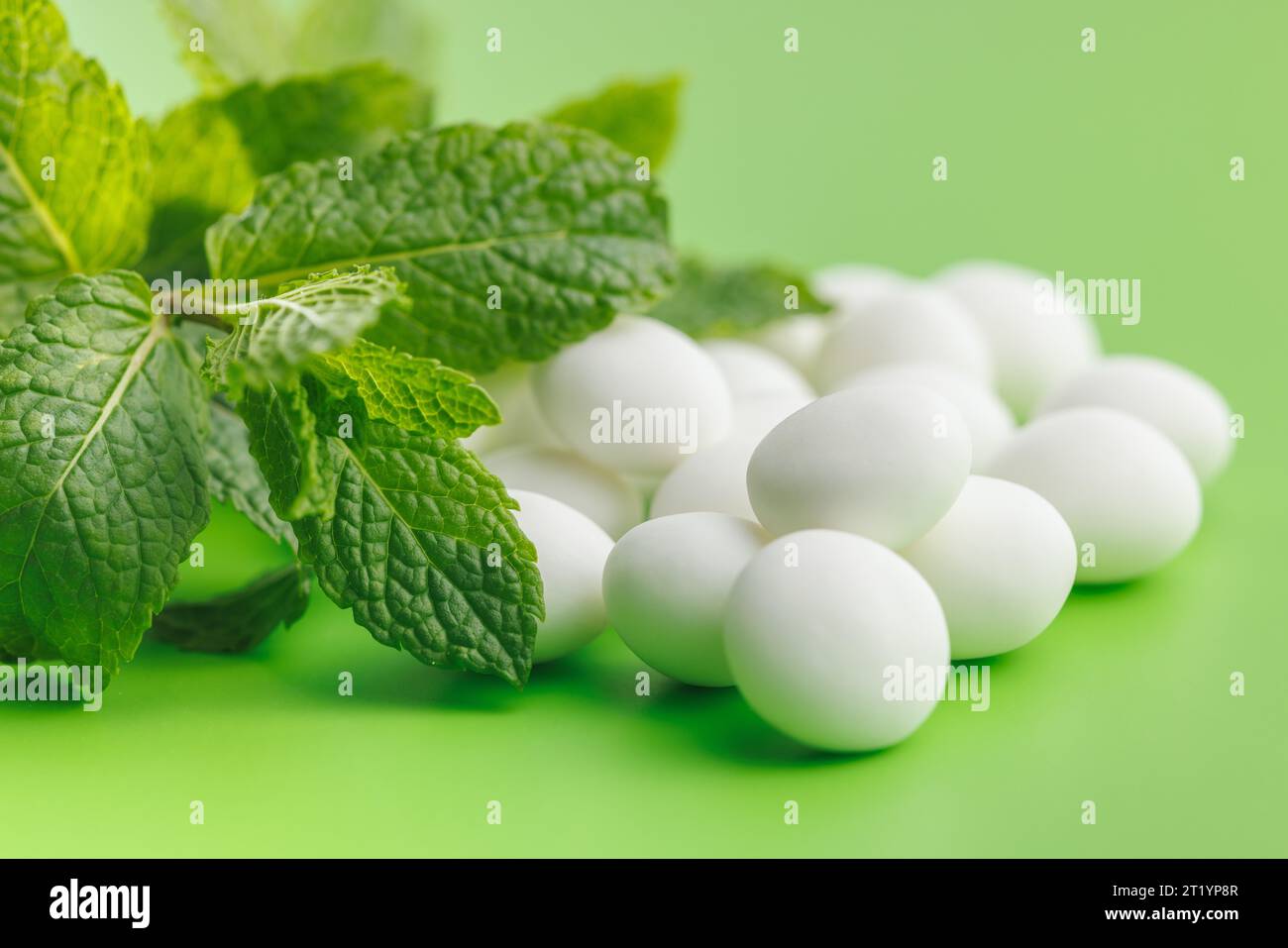 Mint candies. Menthol bonbons and mint leaves on the green background ...