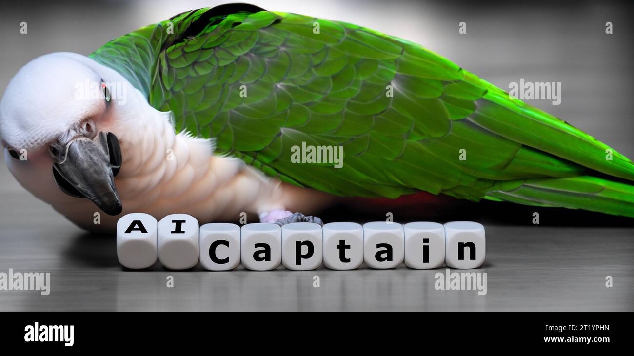 Parrot turns dice and forms the expression AI Captain. Symbol for using ...