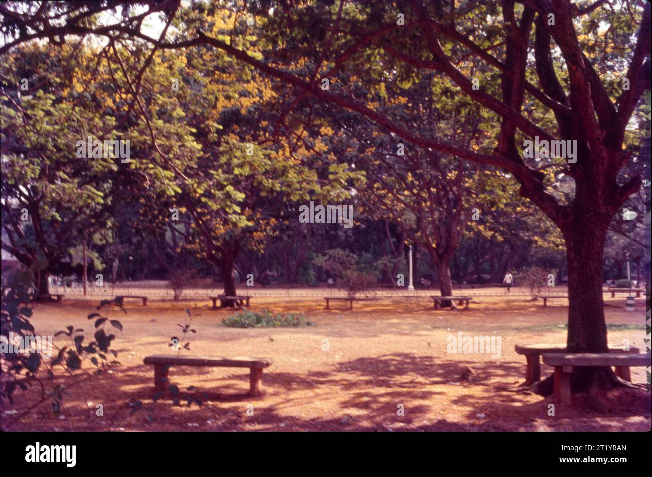 Cubbon Park, officially Sri Chamarajendra Park, is a landmark park in ...