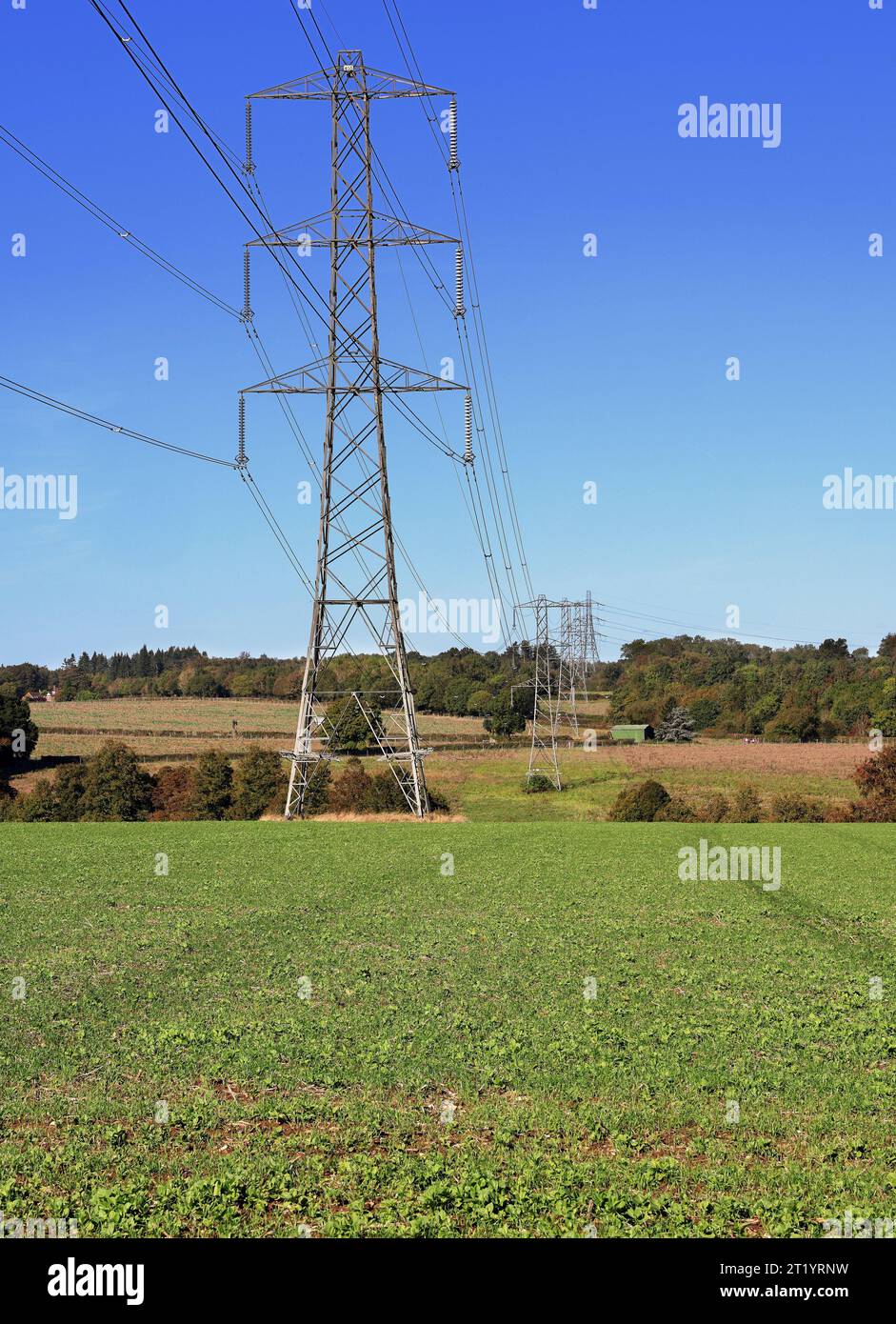 Row of Electricity Pylons in an English Rural Landscape in the English ...