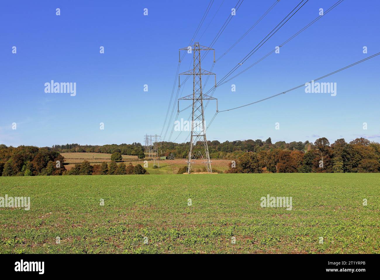 Row of Electricity Pylons in an English Rural Landscape in the English ...