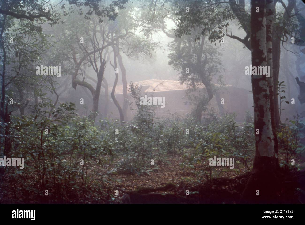 Lonavla Hill Station, Monsoon Mist, Maharashtra, India Stock Photo - Alamy