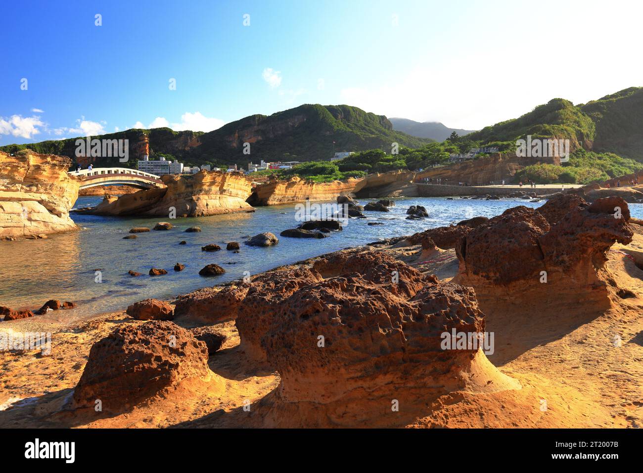 Natural rock formation at Yehliu Geopark, one of most famous wonders in ...