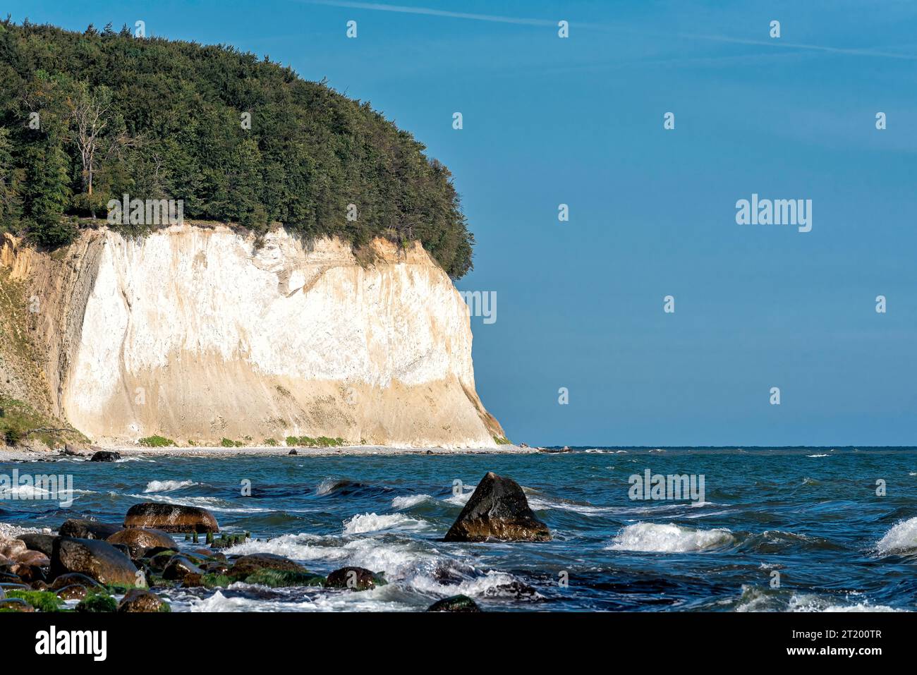 famous chalk cliffs on the coast of Rügen in Batlic Sea in Germany ...