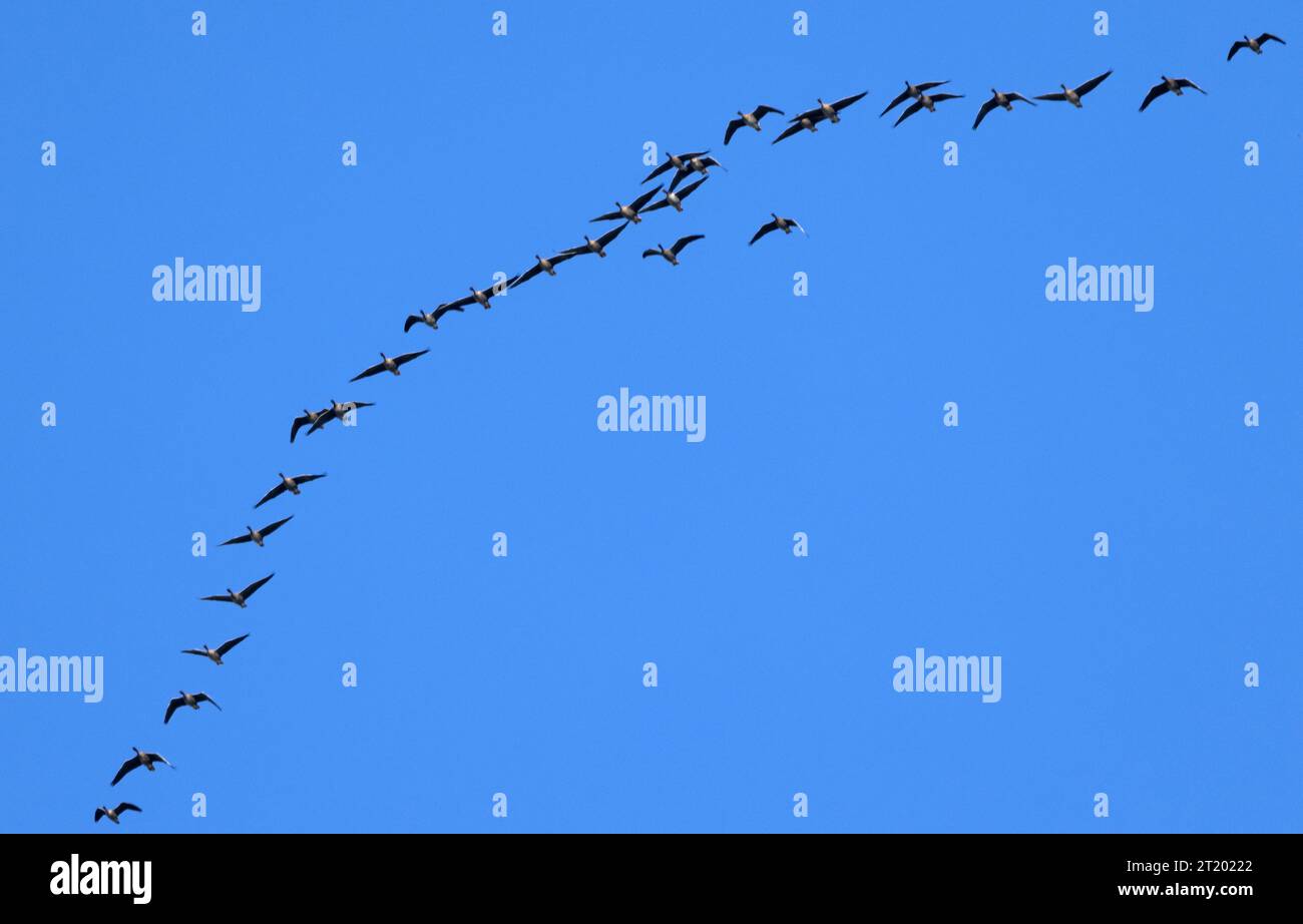 Skeins of water hi-res stock photography and images - Alamy