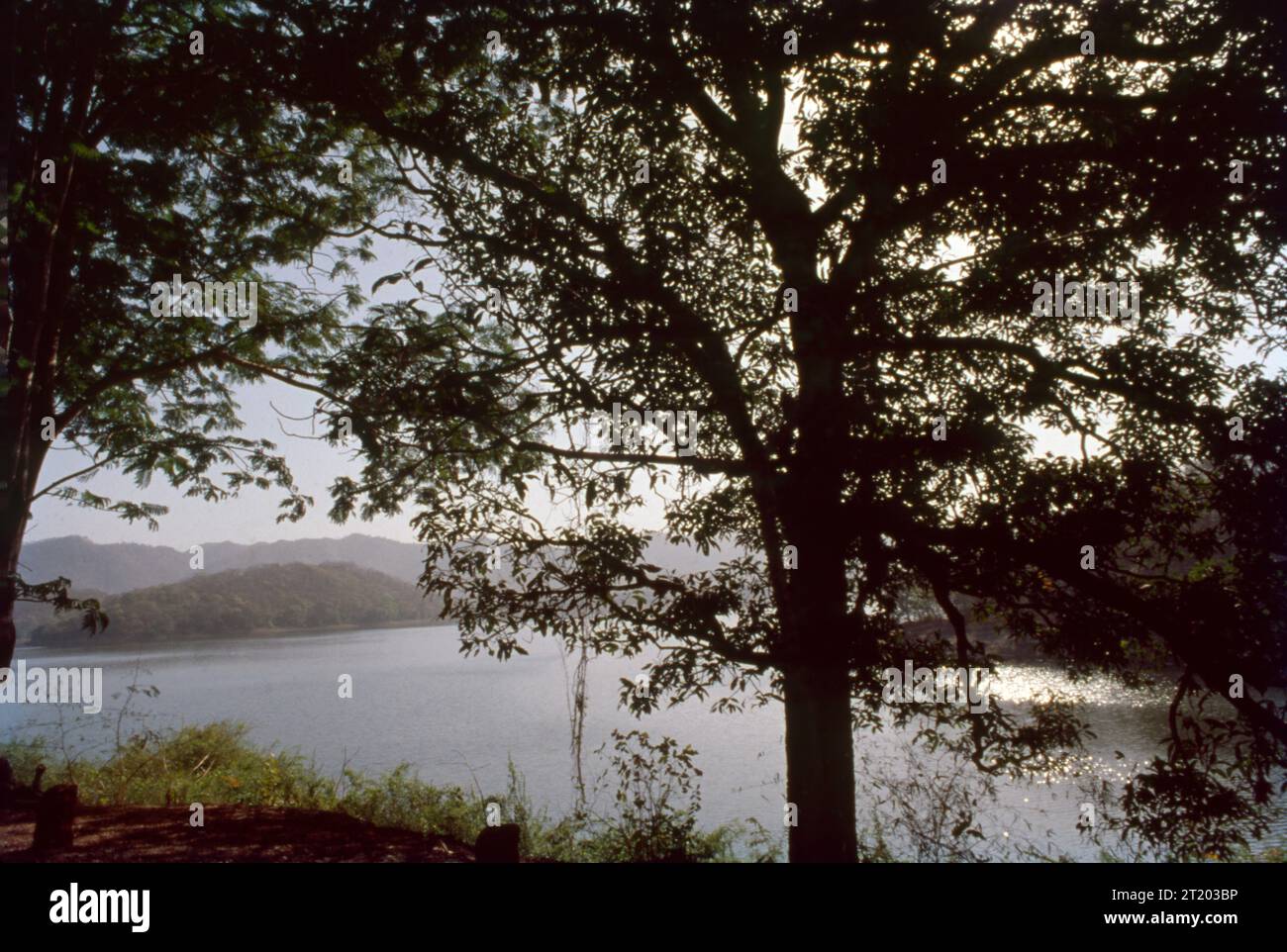 Tulsi lake hi-res stock photography and images - Alamy