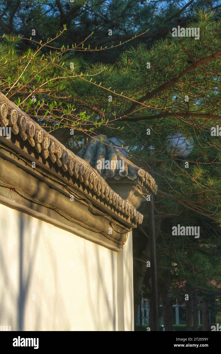 Capture the intricate beauty of traditional Chinese wall decor, a ...