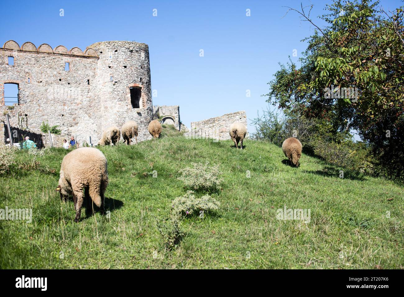 Tourist scenes of Bratislava and environs Stock Photo - Alamy