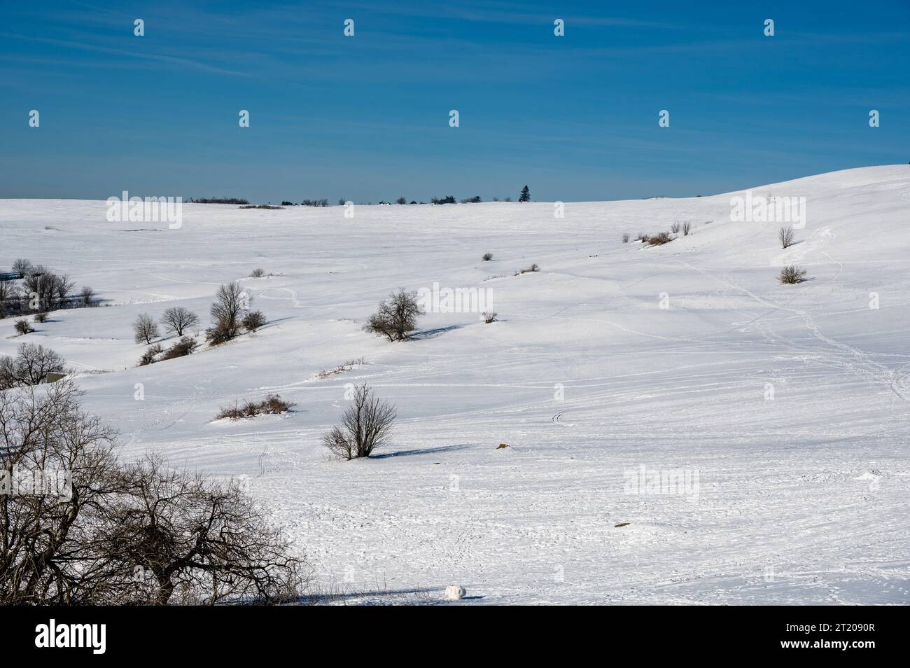 Lots of snow in nature, with trees and blue sky in the high Rhoen ...