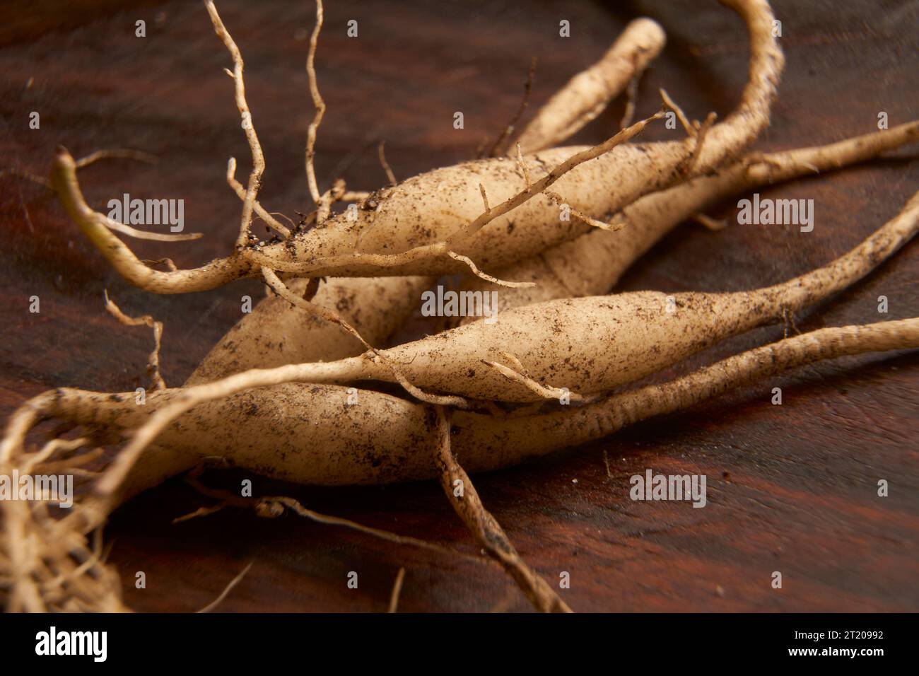 Close up of the Chocolate Lily vegetable tubers a Australian Native ...