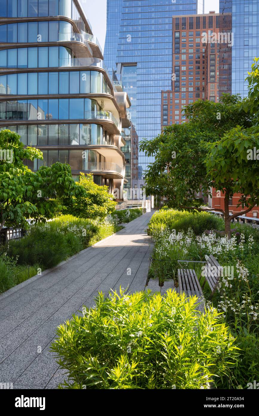 The High Line Park promenade on summer morning. Elevated greenway in ...