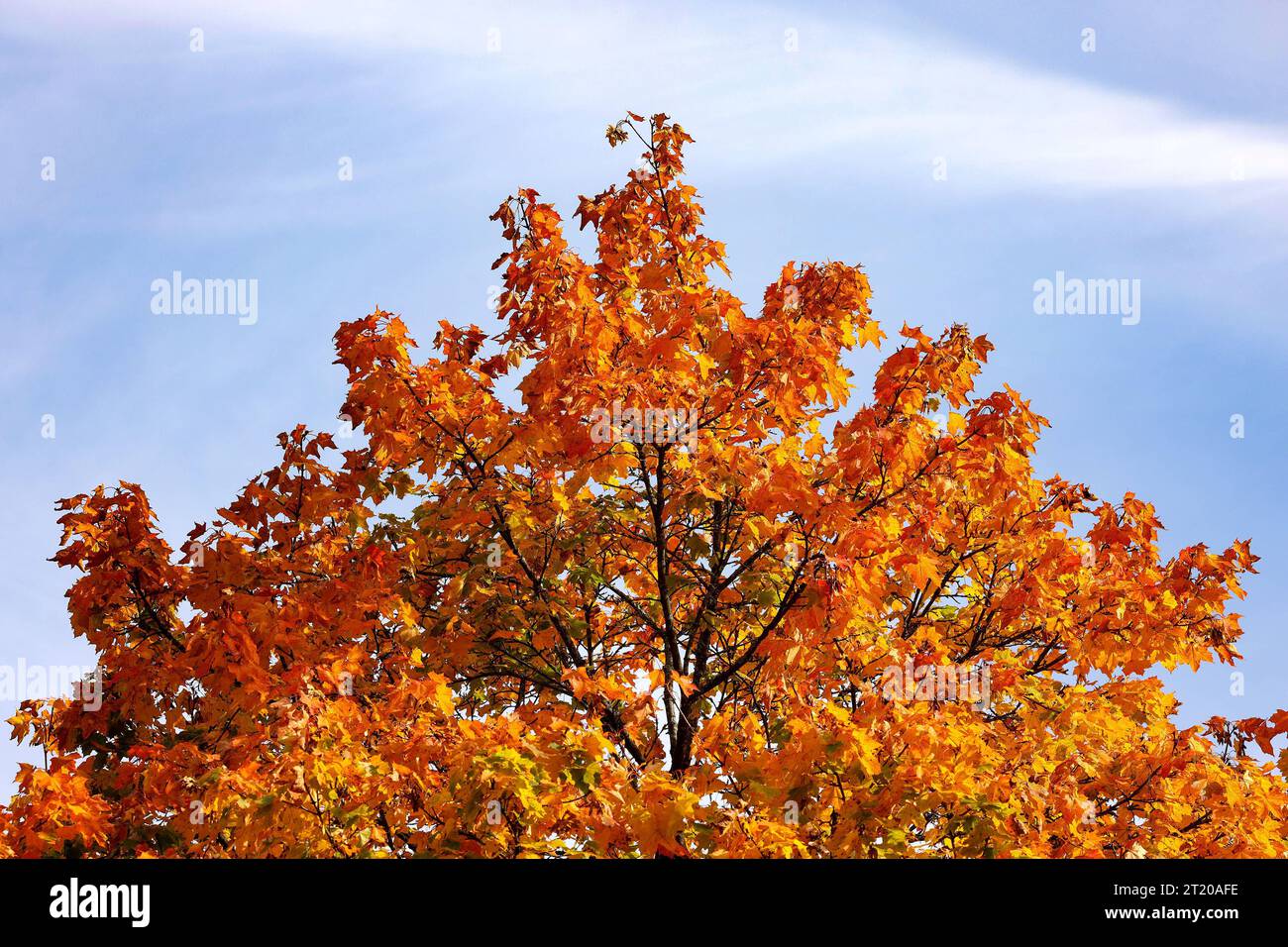 Bunte bunte wolken hi-res stock photography and images - Alamy