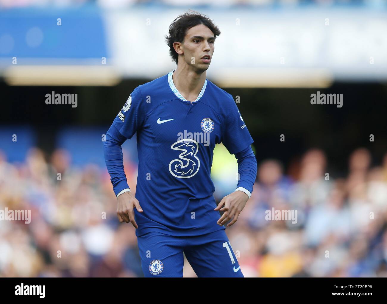 Joao Felix Of Chelsea Chelsea V Brighton Hove Albion Premier Joao Felix Of Chelsea Chelsea V Brighton Hove Albion Premier