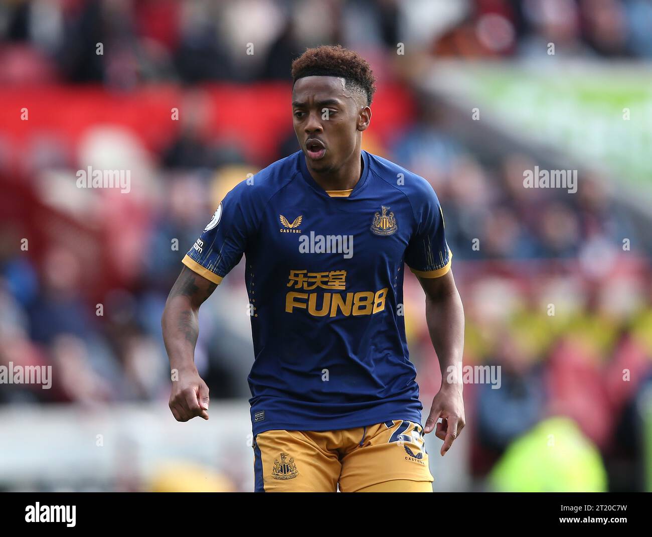 Joe Willock of Newcastle United. - Brentford v Newcastle United ...