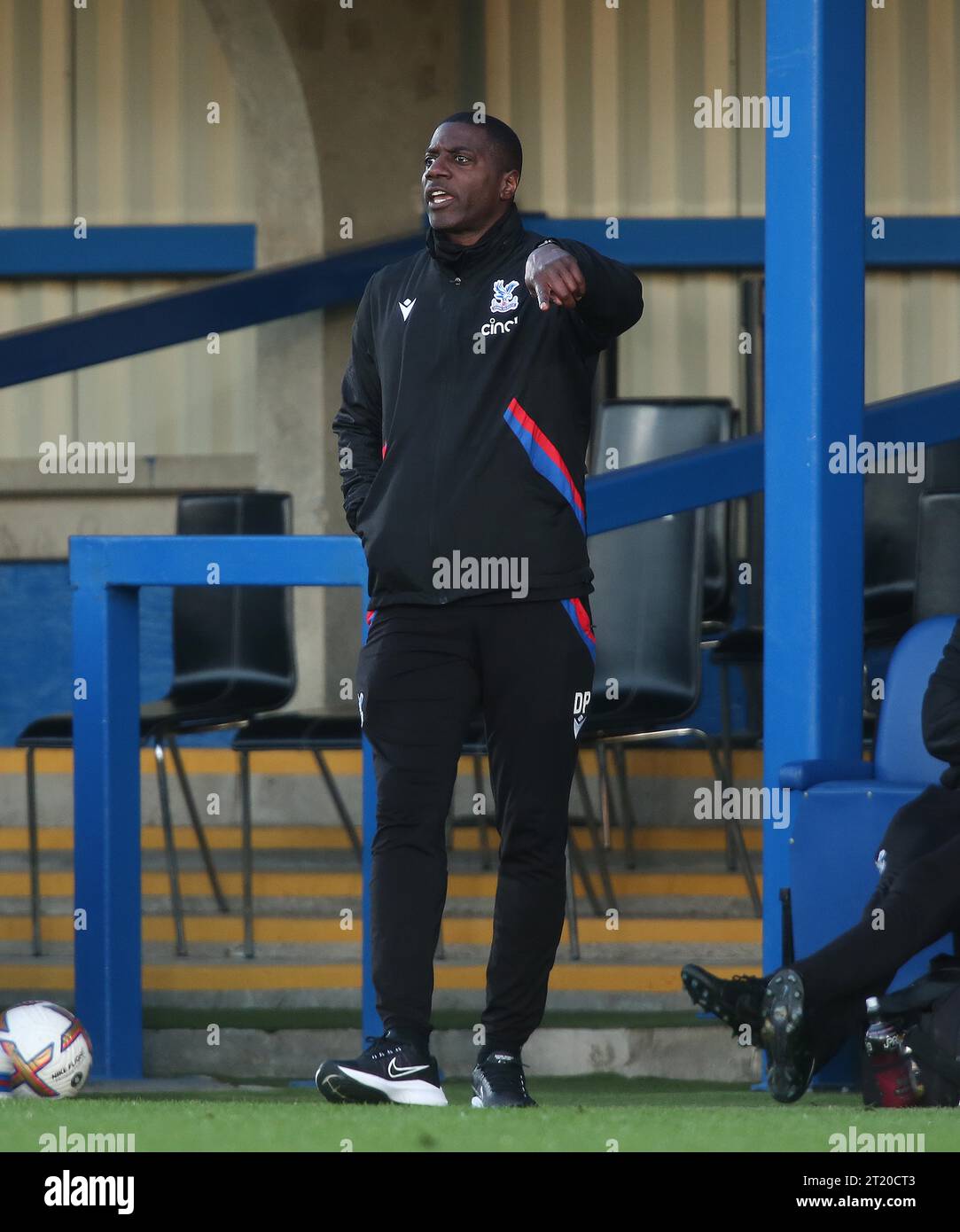 Darren Powell manager of Crystal Palace U21. - Chelsea U21 v Crystal ...