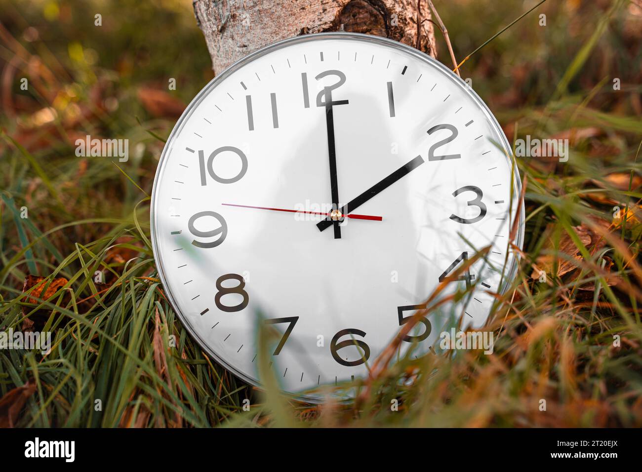 Augsburg, Bavaria, Germany. 16th Oct, 2023. Symbolic image time change ...