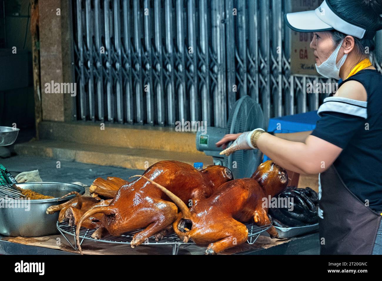 Dog meat vendor, Hanoi, Vietnam Stock Photo - Alamy