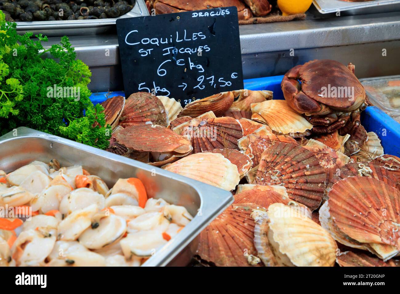 Scallops in a fish shop Stock Photo - Alamy