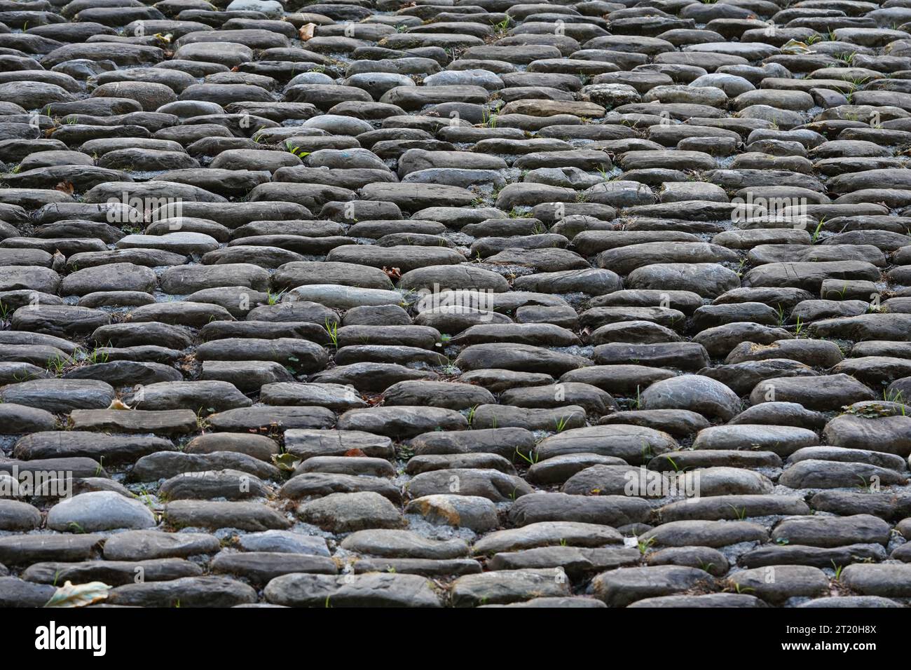 Cobblestone pavement cutout suitable as background with a lot of copy ...