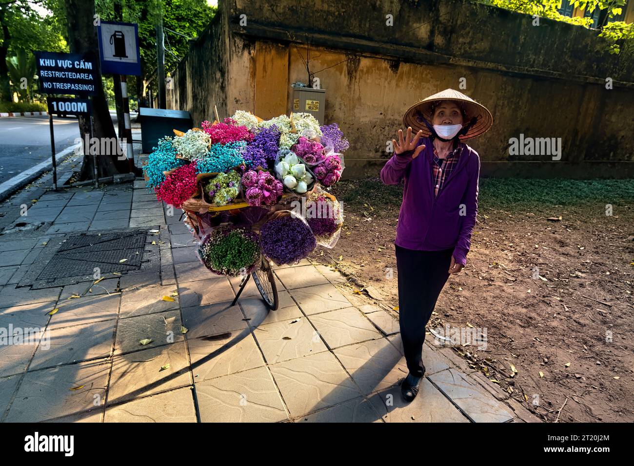 Flower vendor, Hanoi, Vietnam Stock Photo - Alamy