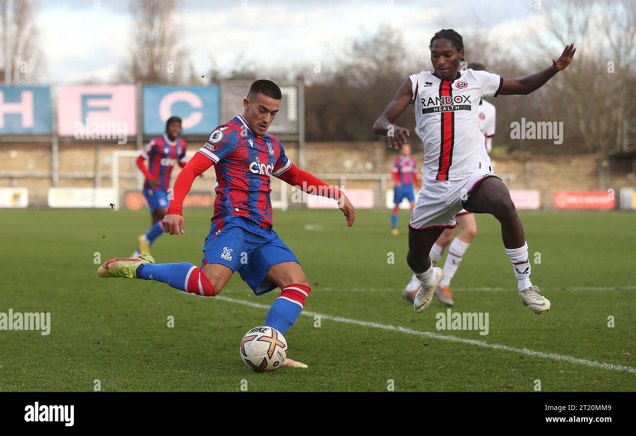 Danny Imray of Crystal Palace U21. - Crystal Palace U21 v Sheffield ...
