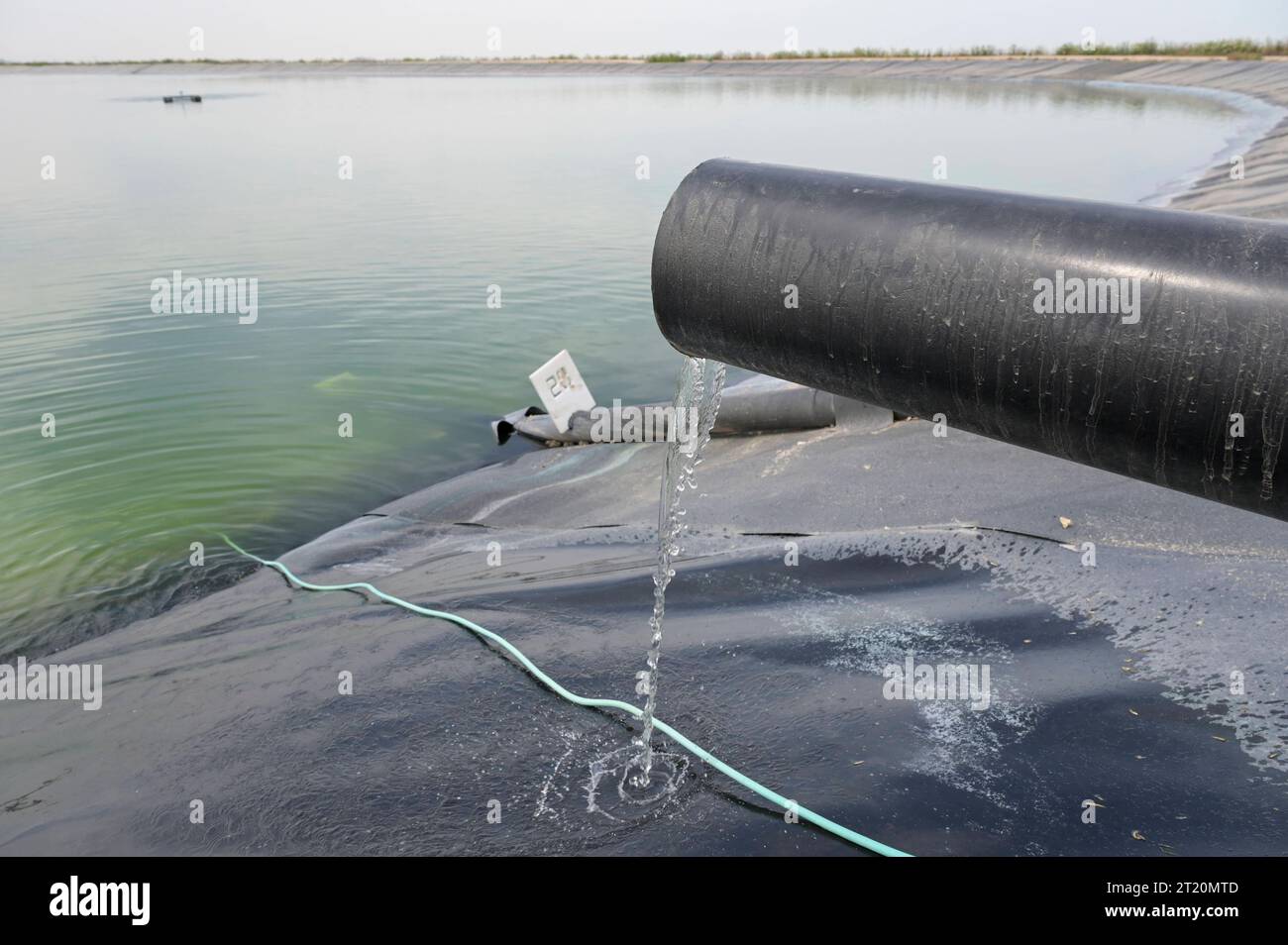 Israel, agriculture ISRAEL, town Kiriat Malachi, Tzabar-Kama kibbutz ...