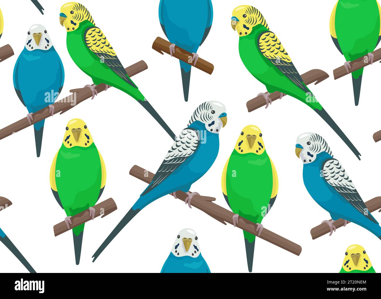 Green budgerigar sitting on branch Stock Vector Images - Alamy