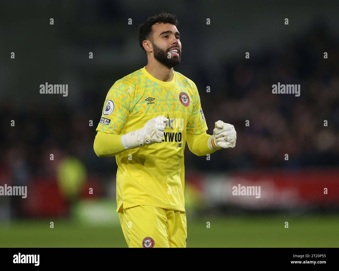 David Raya of Brentford goal celebration. - Brentford v Liverpool ...