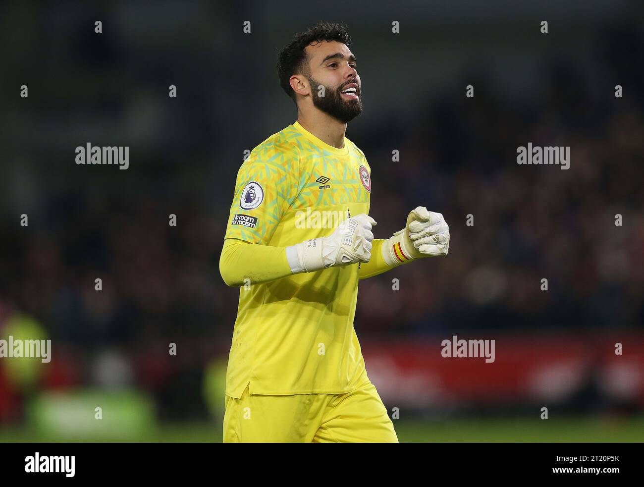 David Raya of Brentford goal celebration. - Brentford v Liverpool ...
