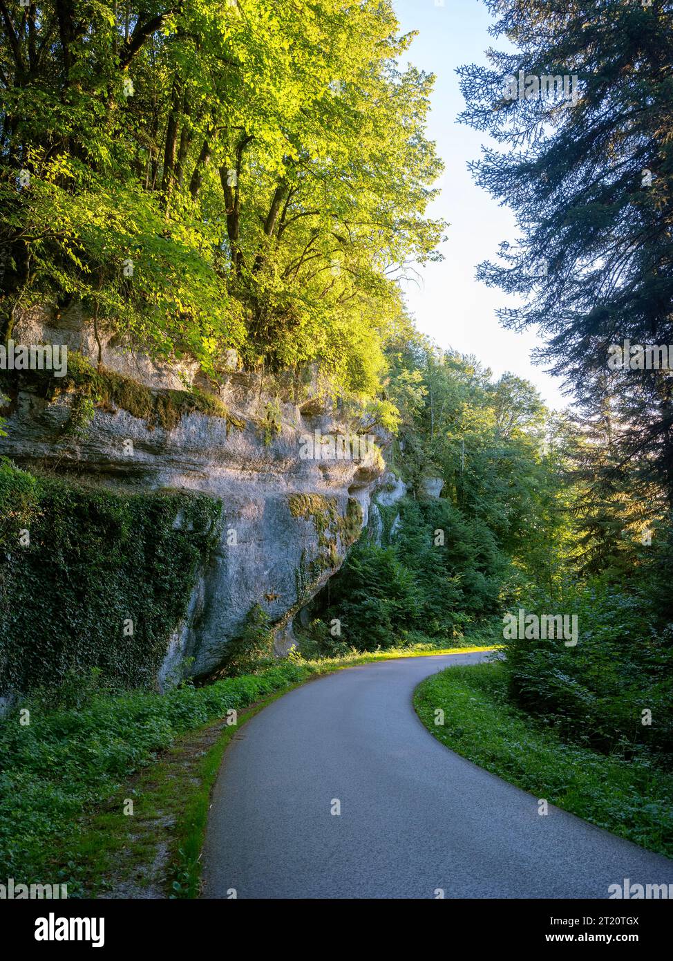 country road and rock in forest of french jura Stock Photo - Alamy