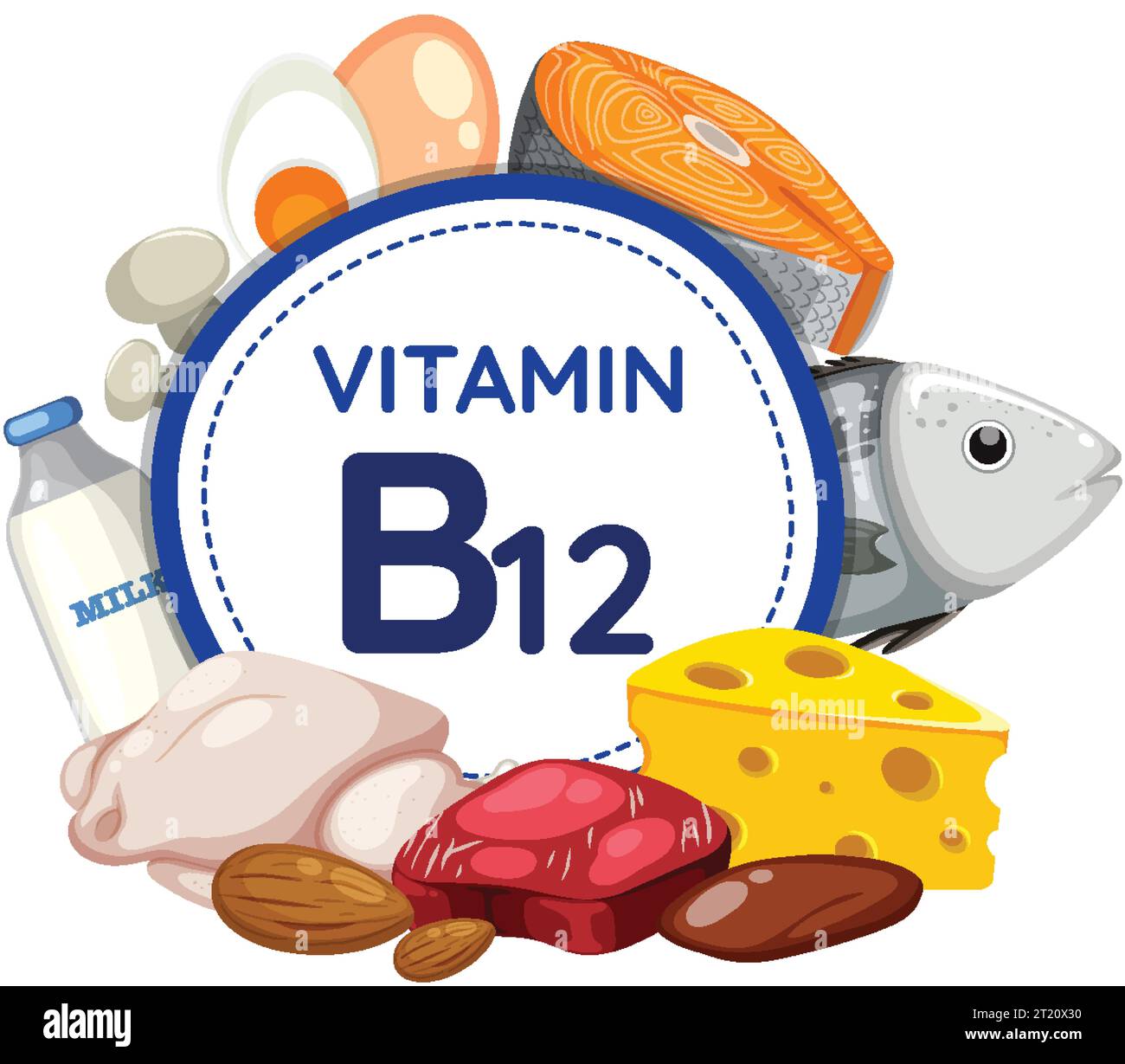 Colorful vector illustration of Vitamin B12 surrounded by nutritious ...