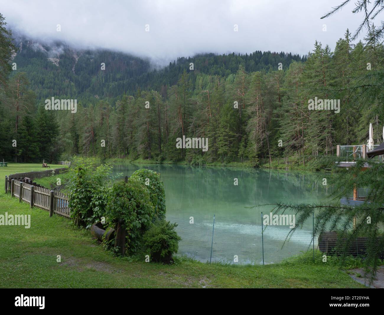 Creta Lake Nestled in the Greenery of the Fanes - Sennes - Braies ...
