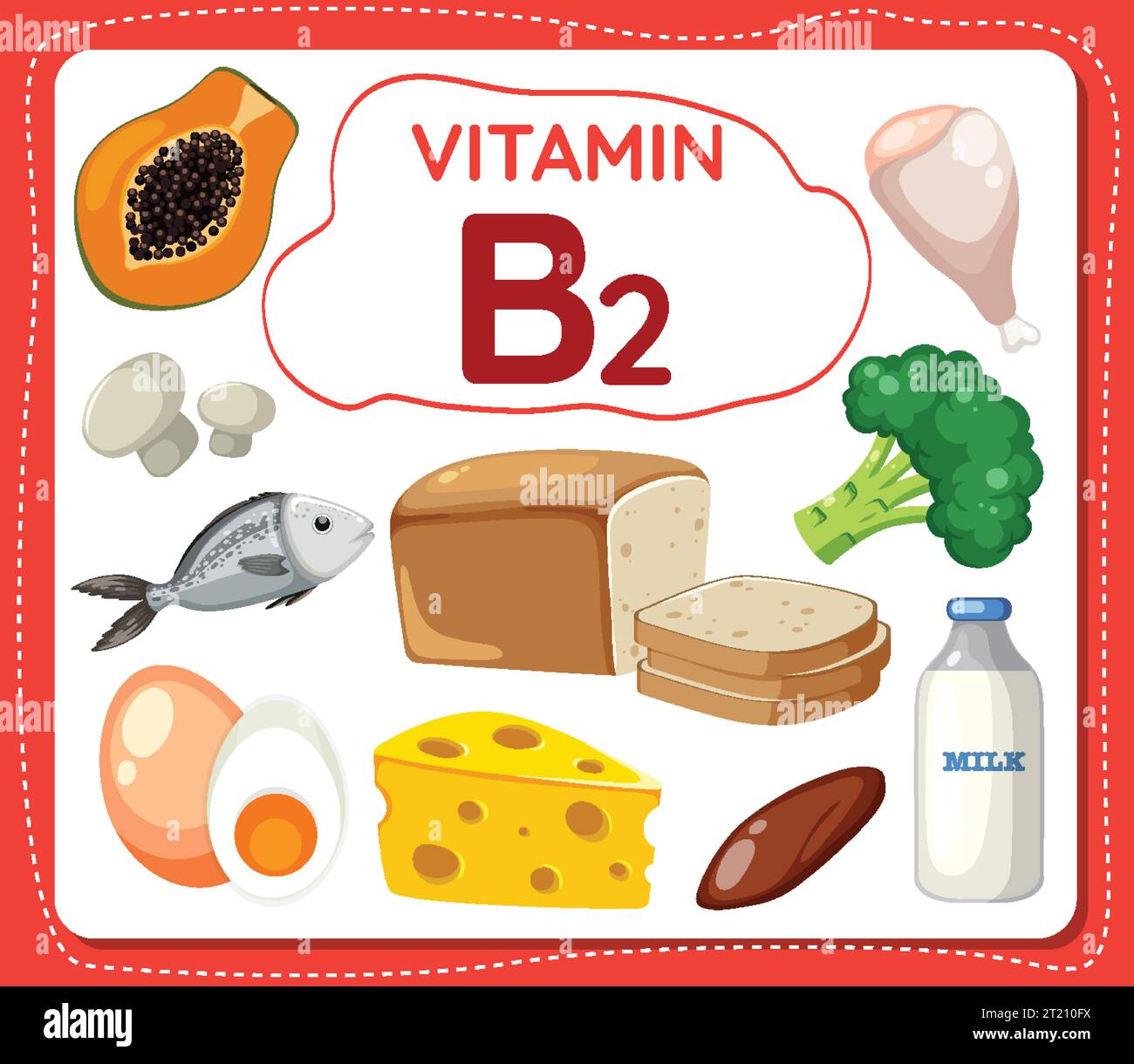 Colorful vector illustration of a frame banner surrounded by vitamin B2 ...