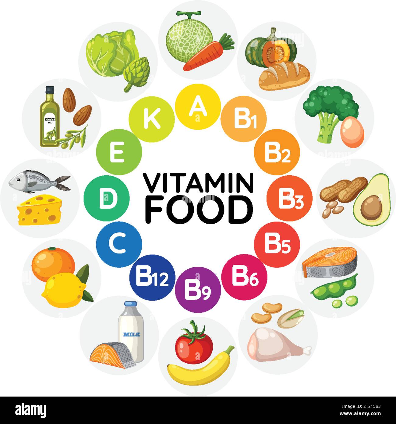Illustration of various food groups categorized by vitamin content ...