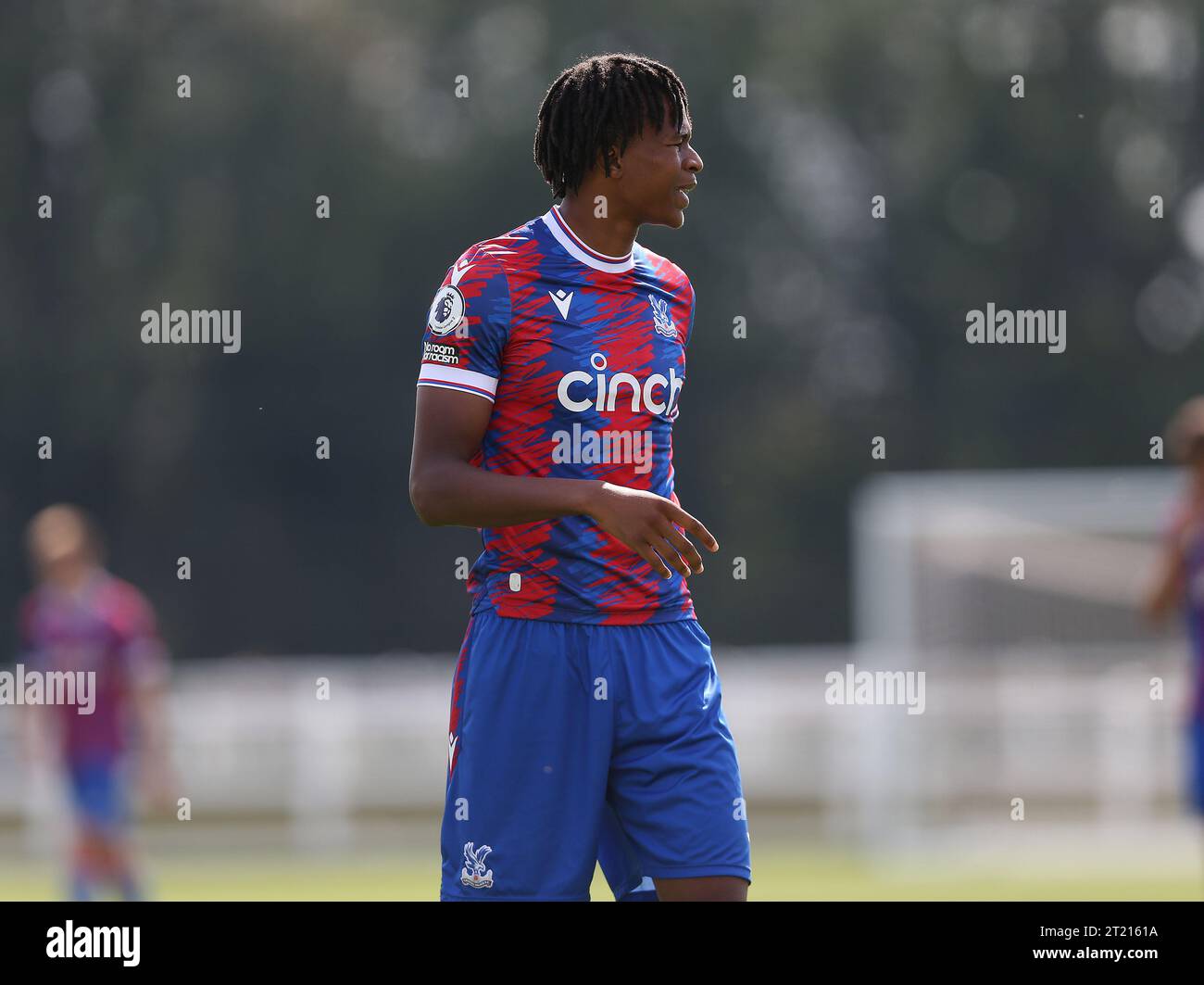 Ademola Ola Adebomi of Crystal Palace U21. - Crystal Palace U21 v ...