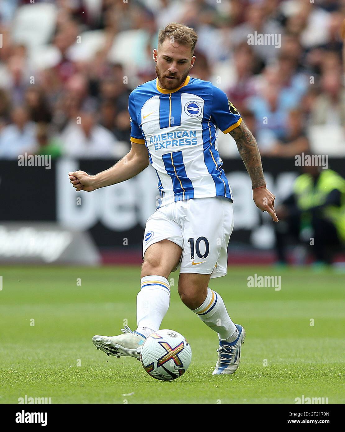 Alexis mac allister brighton 2022 hi-res stock photography and images - Alamy