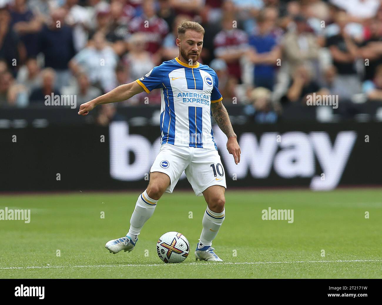 Alexis mac allister brighton 2022 hi-res stock photography and images ...