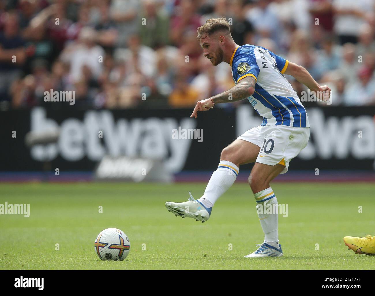 Alexis mac allister brighton 2022 hi-res stock photography and images ...